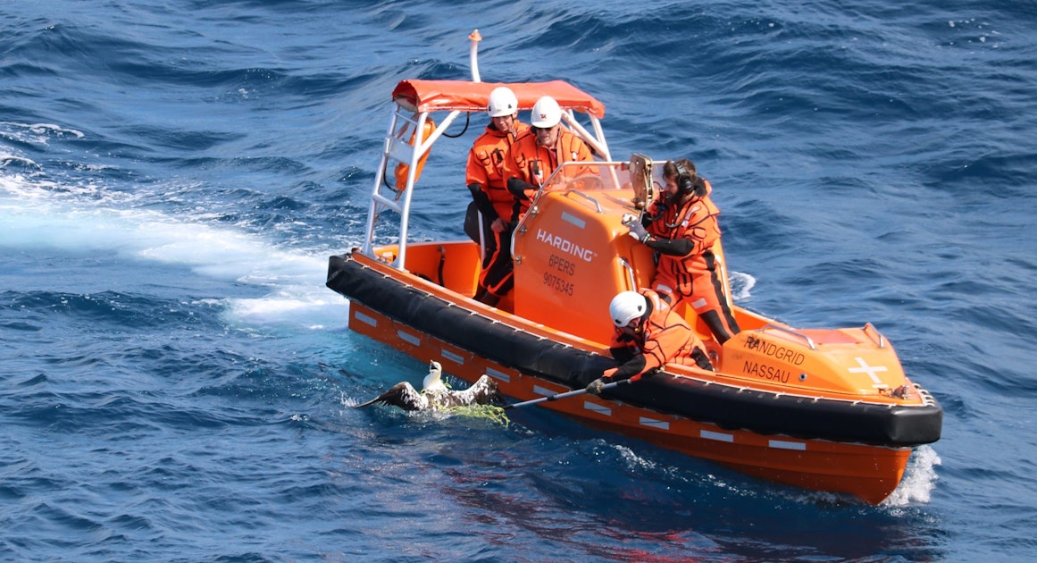 Gannett alive and well thanks to the quick actions of the Randgrid crew ...